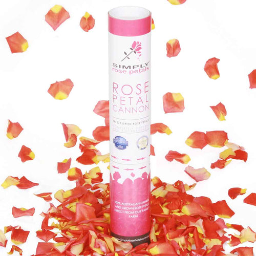 Confetti Cannon - Confetti Party Popper - Rose Petal Confetti Cannon ...