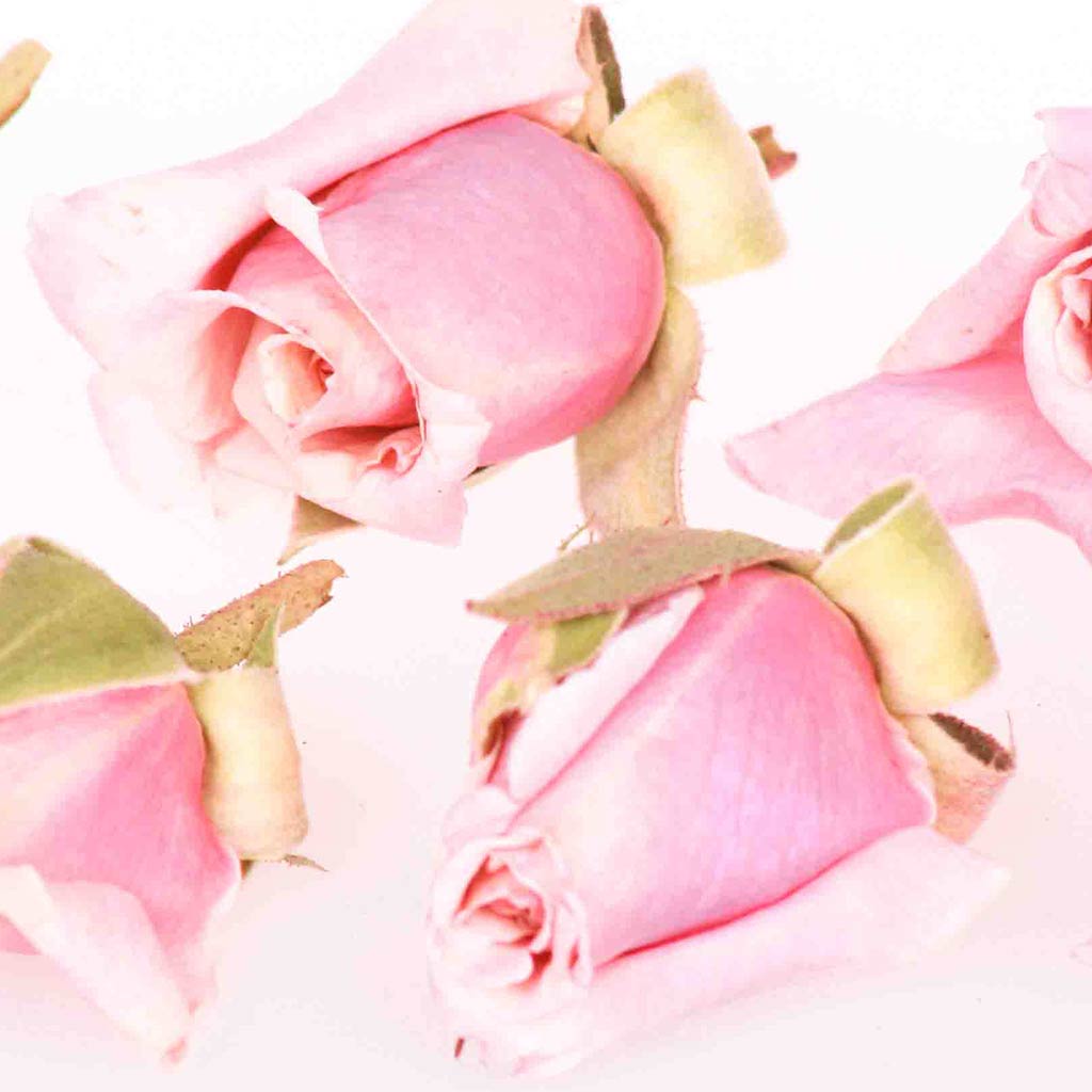 Hello Baby Pink Roses Freeze Dried Edible Flowers - pink edible roses ...