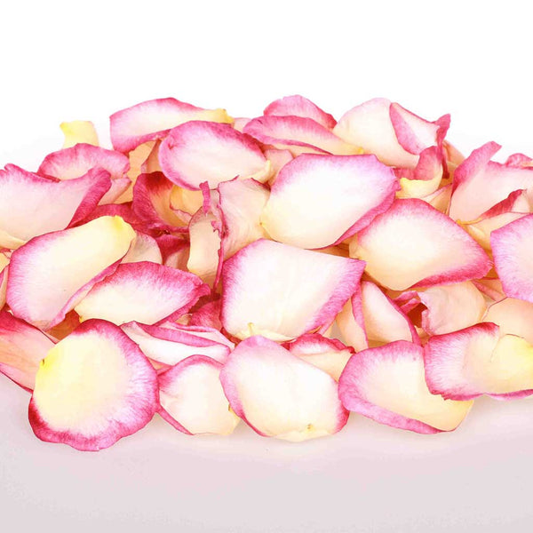 Touch of Pink Edible Dried Rose Petals - White Pink Edible Rose Petals ...